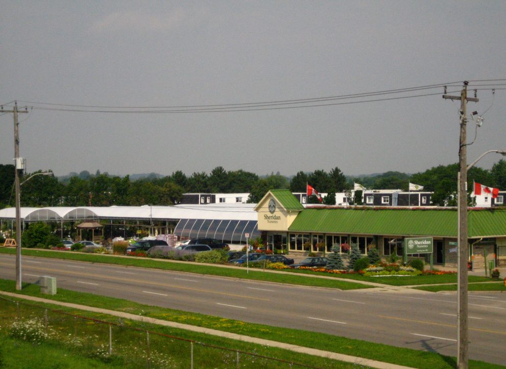 Flower Nursery Kitchener | Best Flower Site