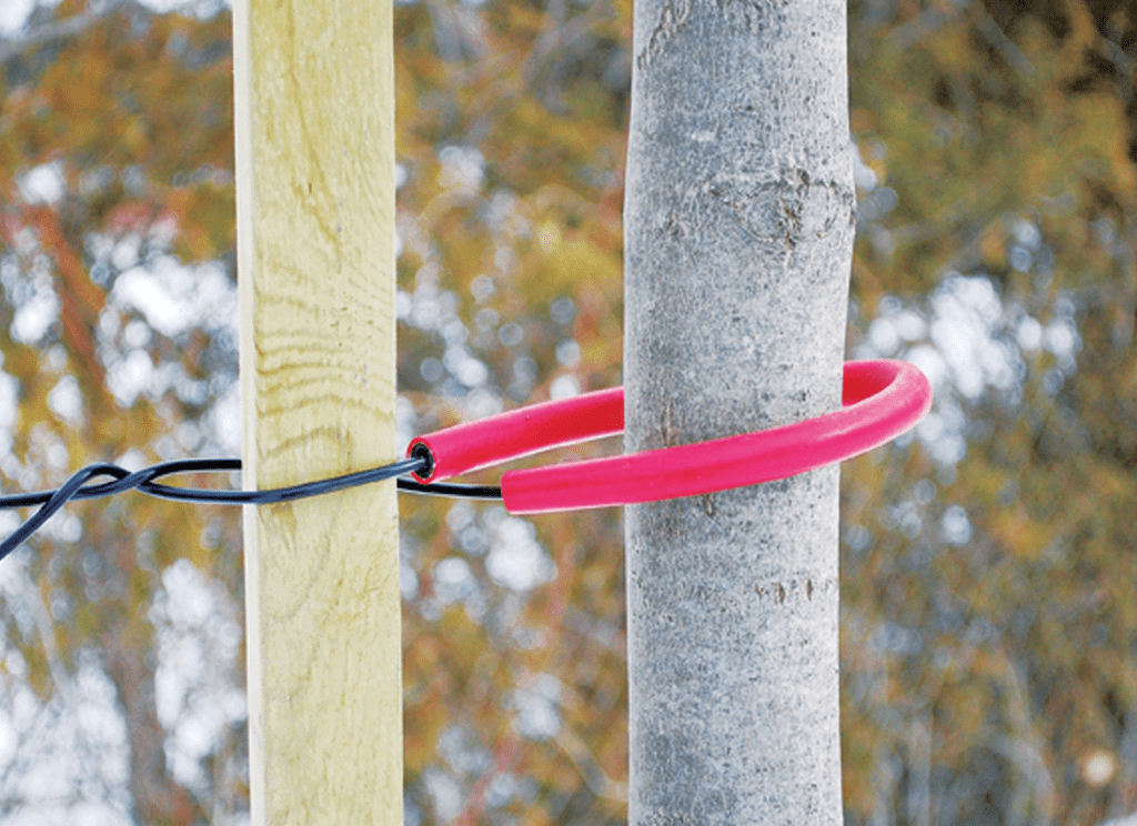 How to plant a tree or evergreen - Sheridan Nurseries